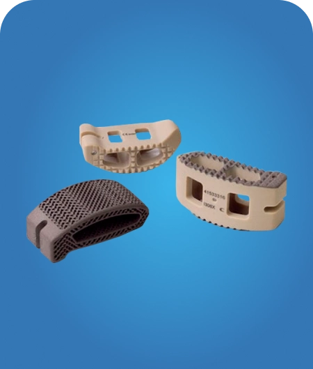 Posterior Lumbar Interbody Offering | OneSurg